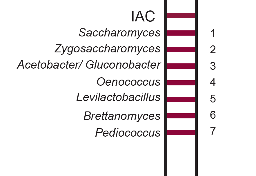 Cronobacter And Salmonella Screening Microbiologique